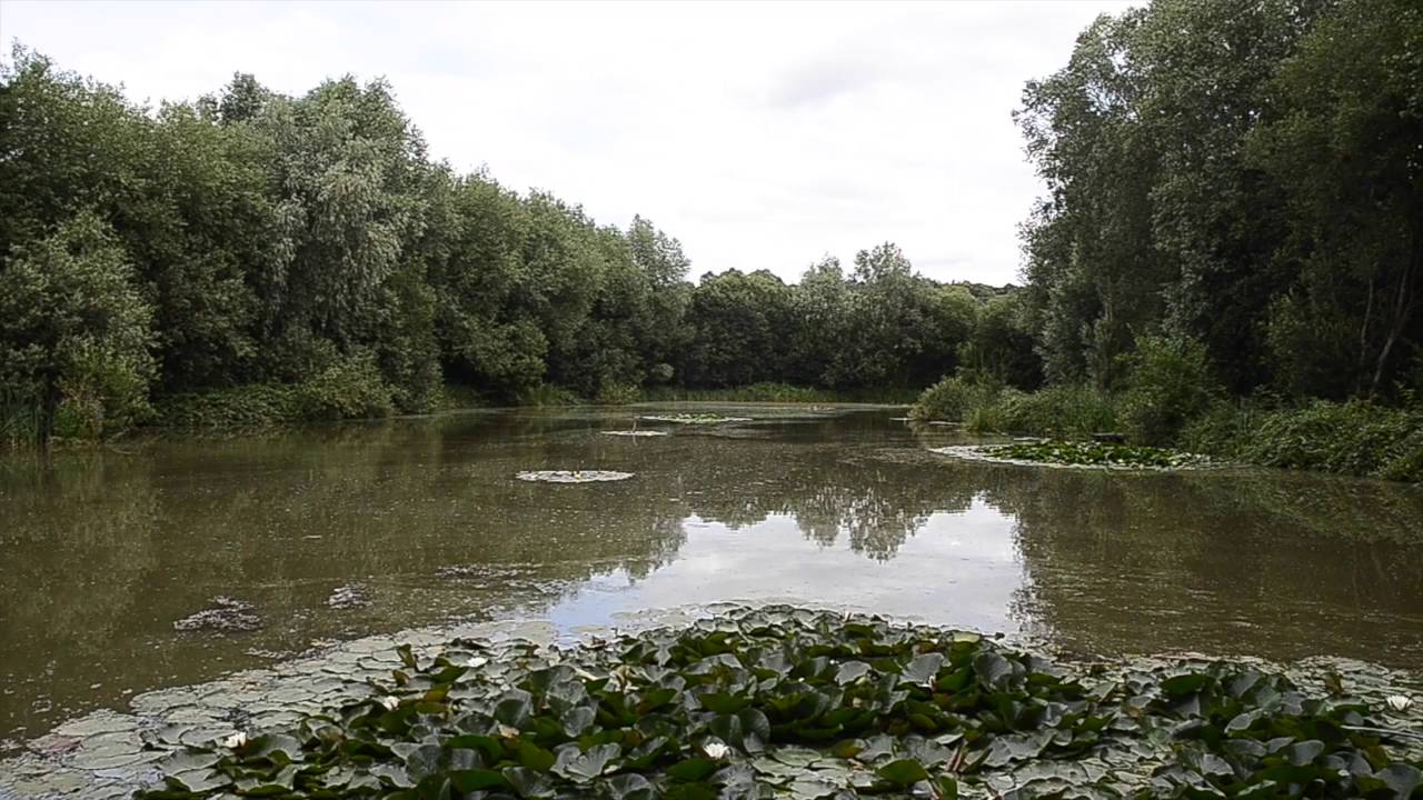 COMBE LAKE COMBE, LANGPORT, SOMERSET - YouTube