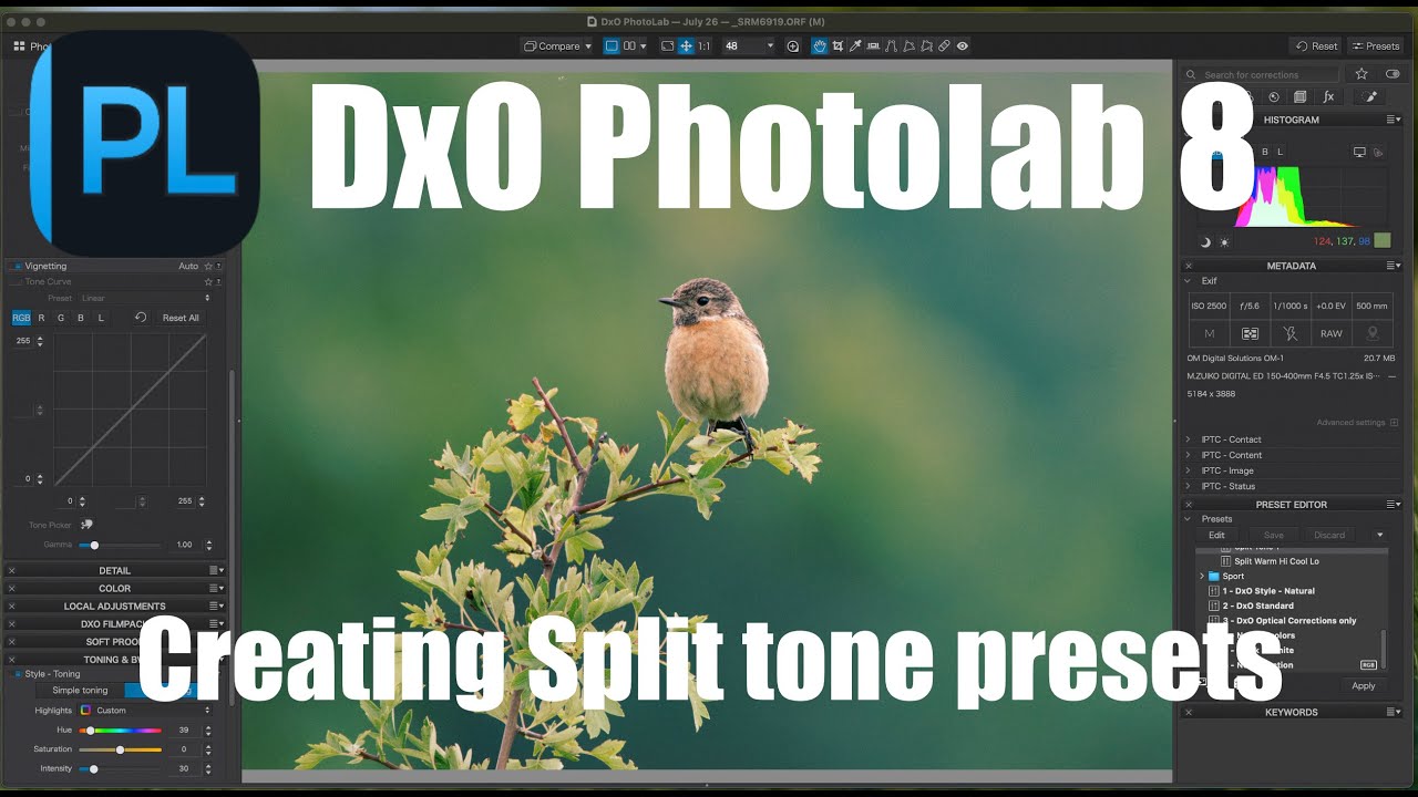 DxO Photolab 8 - Creating Split Tone presets - YouTube