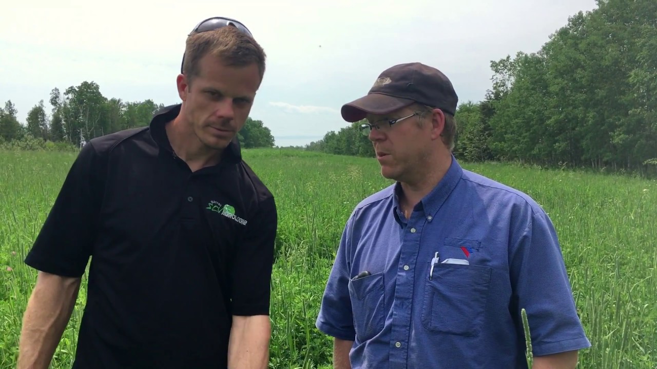 Comment diffuser les connaissances en agroécologie? SCV Agrologie ...
