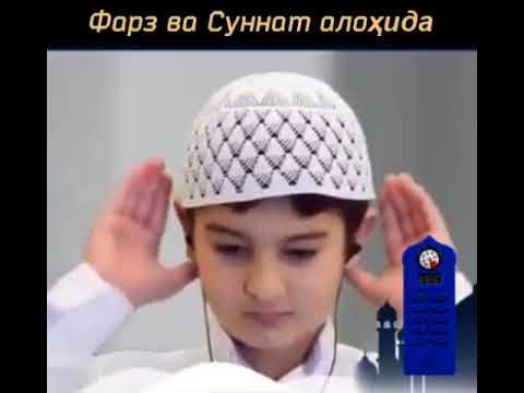 ustoz joynamoz - YouTube