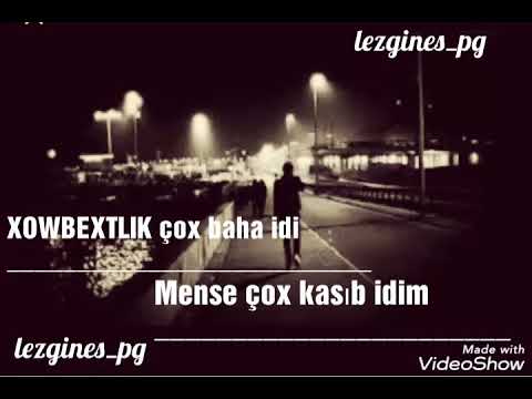 Yazılı videolar mənalı