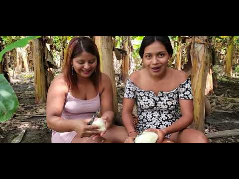 curtido para pastelitos