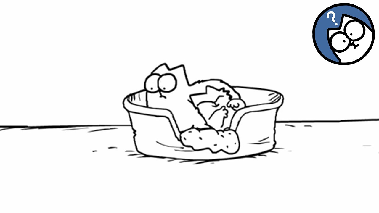 Eat, Sleep, Meow, Repeat | Simon's Cat Extra | Full Episodes - YouTube