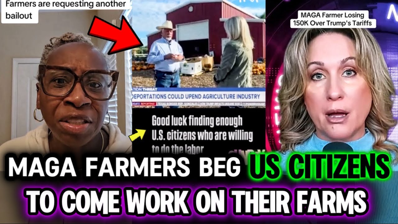 MAGA Farmers Regret Voting Trump After Trade War Bankrupts Their Farms ...