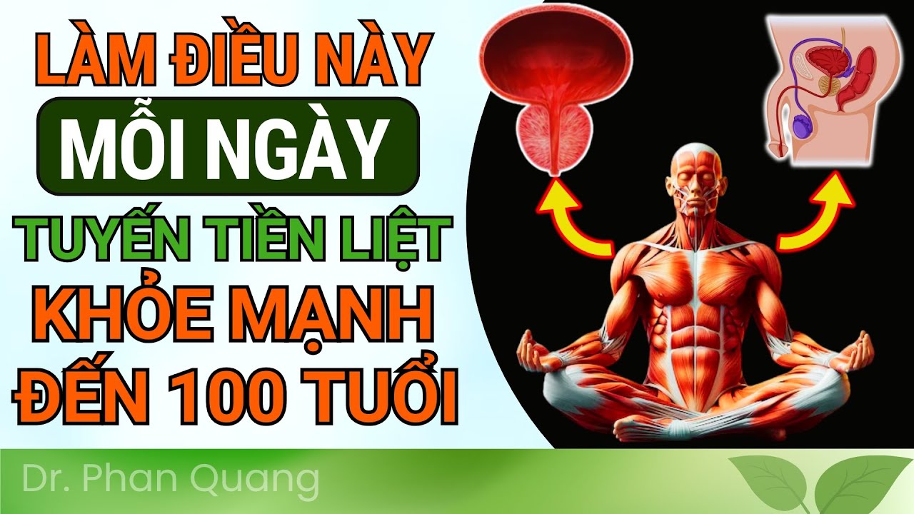 LÀM ĐIỀU NÀY Mỗi Ngày! Tuyến Tiền Liệt Của Bạn KHỎE MẠNH ĐẾN 100 TUỔI! Dr Phan Quang - YouTube