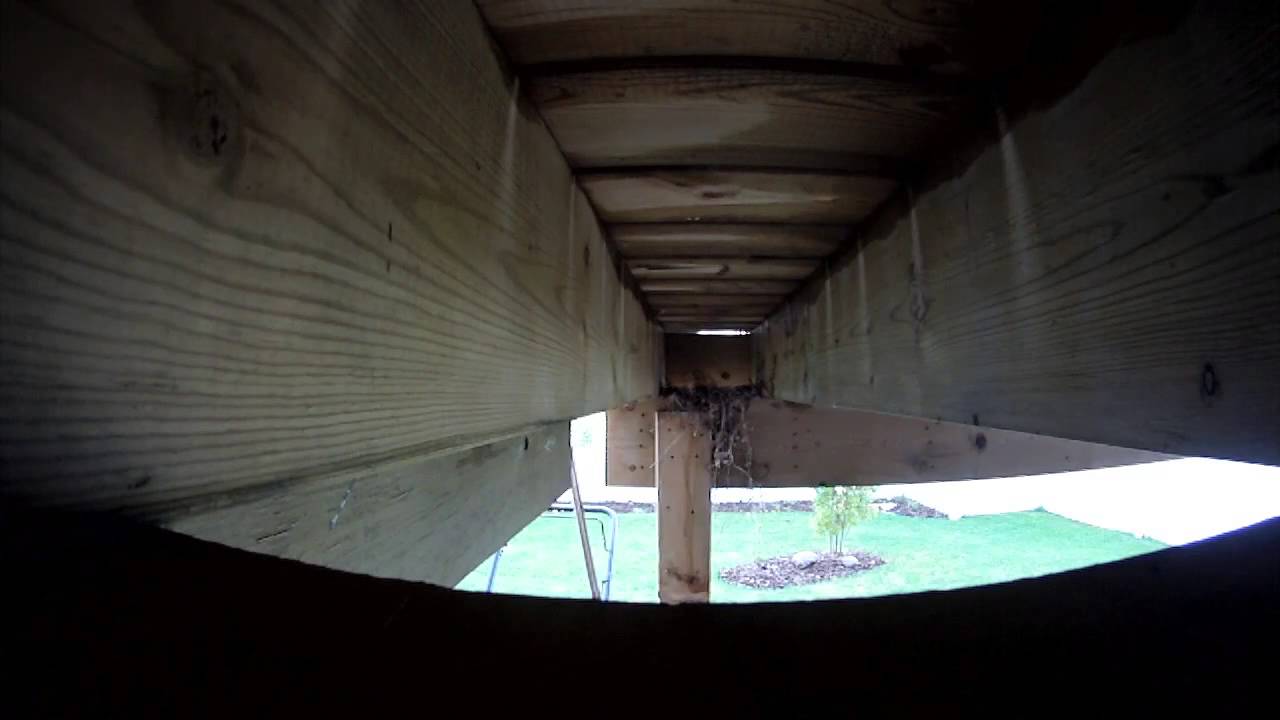 Rondeau Red Robin builds nest... - YouTube