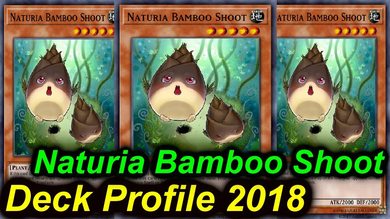 【YGOPRO】NATURIA BAMBOO SHOOT DECK 2018 - YouTube