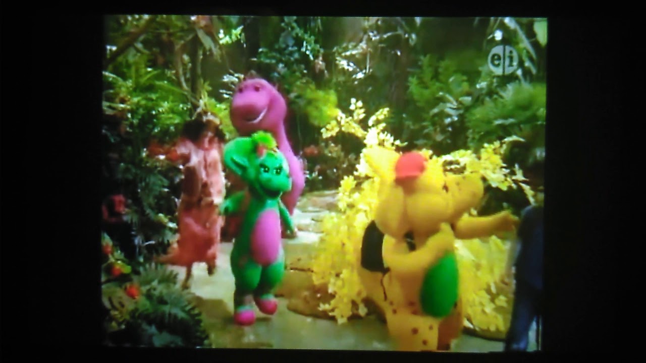 Home Sweet Earth The Rainforest - YouTube