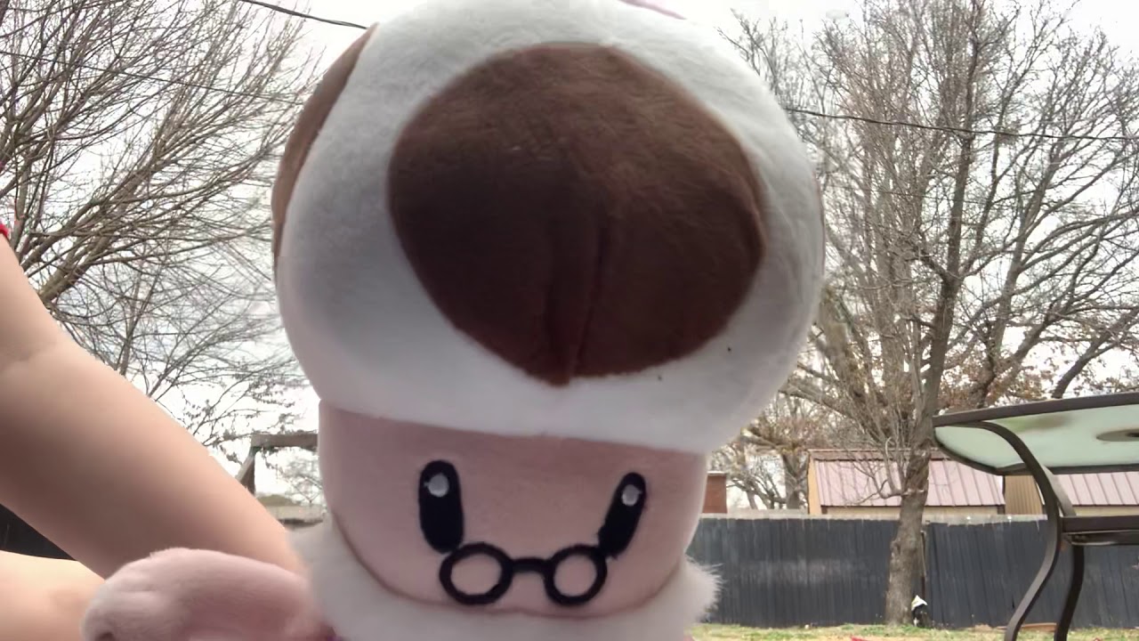 The Evltion Of Plush Tubers By Old Man Toadsworth - YouTube