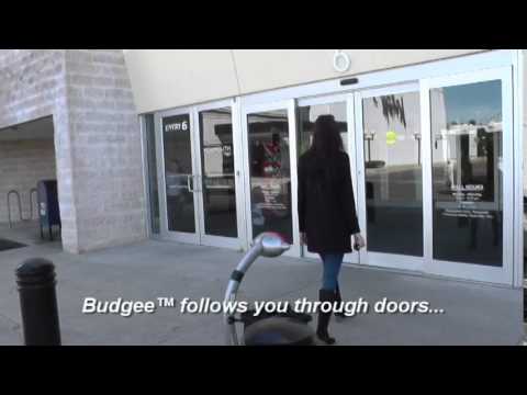 The Robotic Shopping Cart Budgee - YouTube