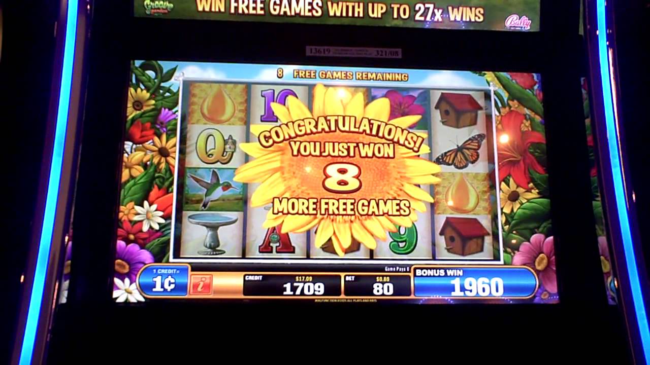 Hummingbird Honey Slot Machine Bonus - YouTube