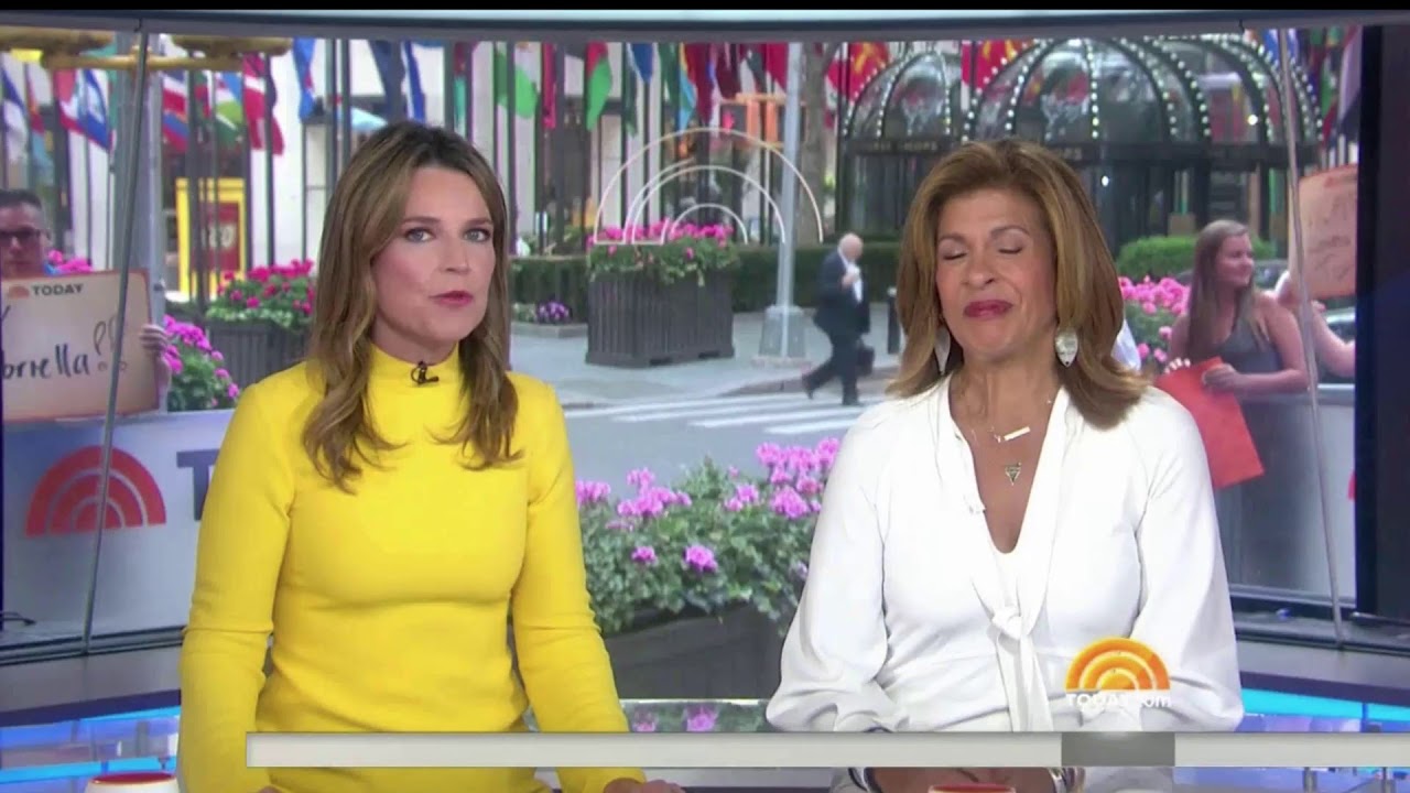 "Today" Show "Seamless" Window - YouTube