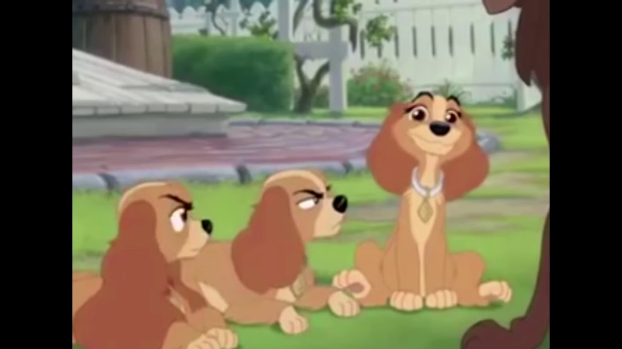 Twinkle little Danielle - YouTube