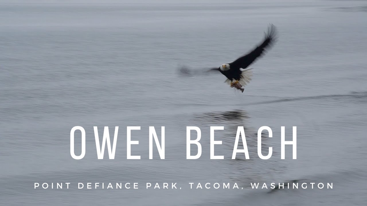 Owen Beach, Point Defiance Park - YouTube