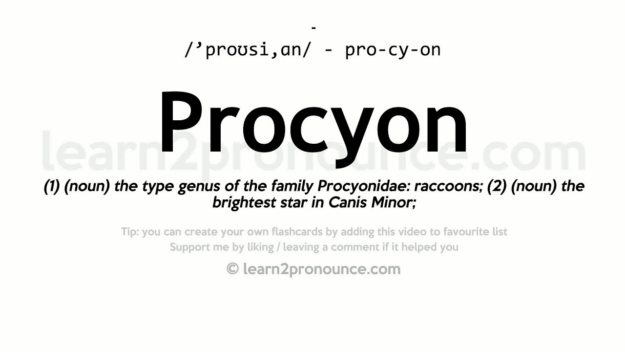 Pronunciation of Procyon | Definition of Procyon - YouTube