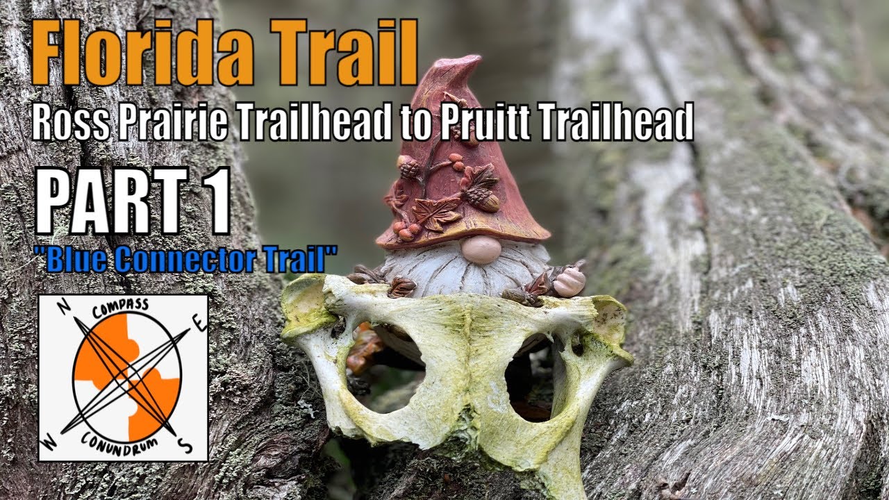 Florida Trail “Pruitt Memorial” - Ross Prairie Trailhead to Pruitt ...