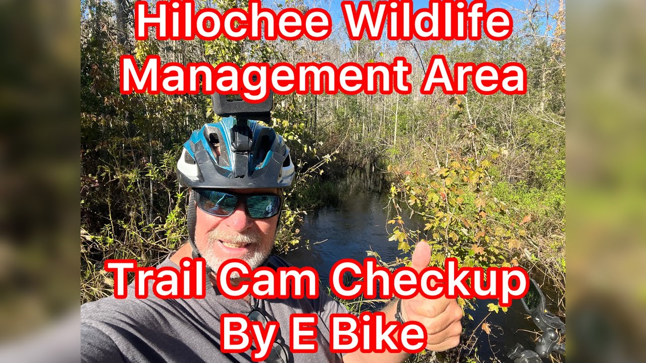 Hilochee Wildlife Management Area | Trail Cam Checkup by E Bike ...