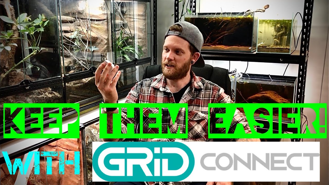 AUTOMATE Your REPTILE ROOM With The GRID CONNECT Smart Home System ...