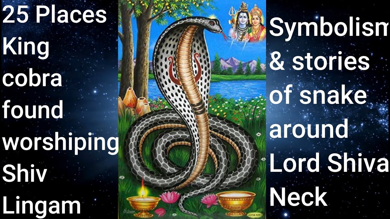 25 Places Snake caught on camera worship shiv lingam or in temples ...