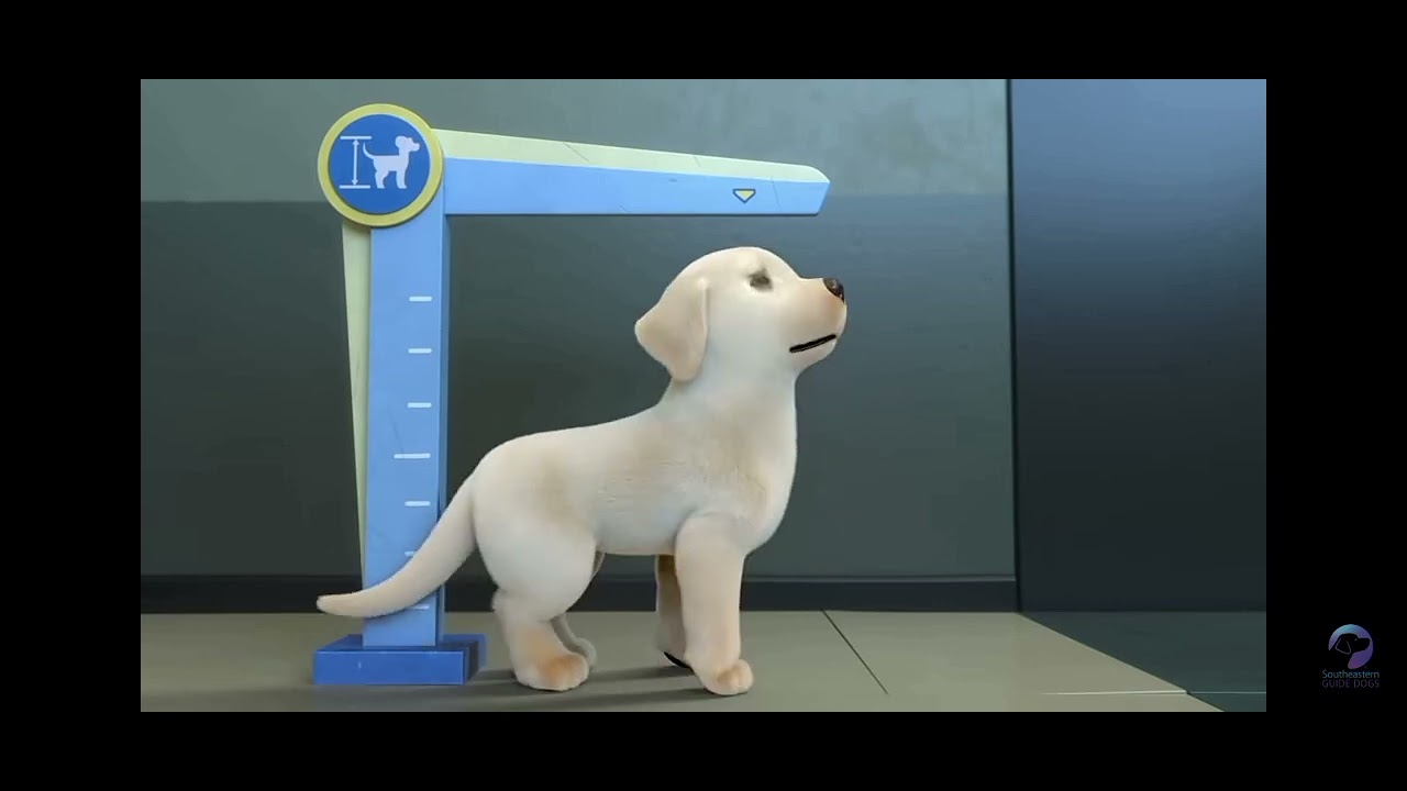 Pip | A short Animated Film by Soudheastern Guide Dog - YouTube