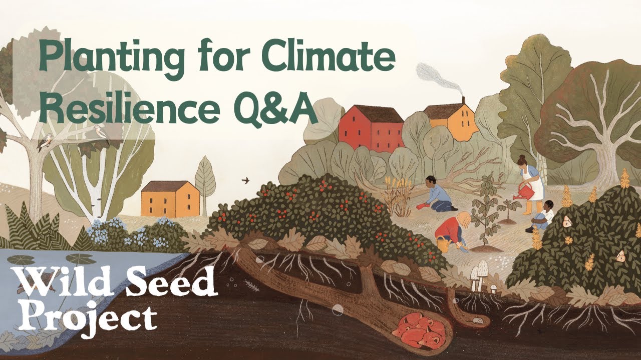 Wild Seed Project Planting for Climate Resilience Q&A - YouTube