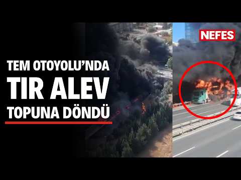Bahçeşehir TEM Otoyolu'nda TIR yangını