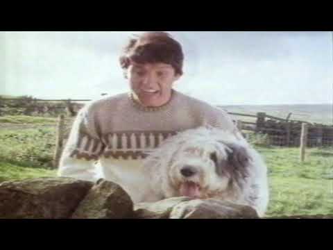 Mike Amatt's Mop & Smiff - Mop visits his relatives and a wedding