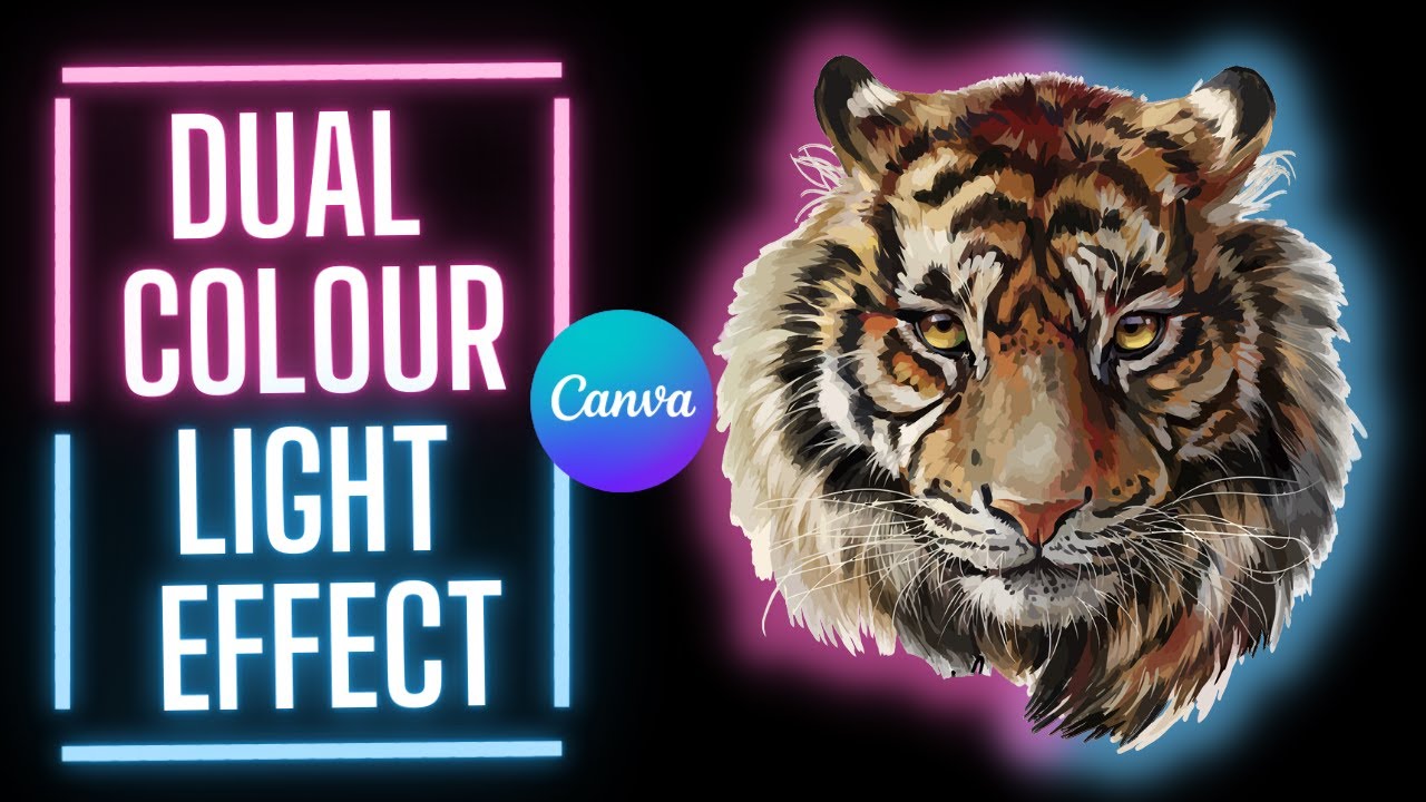 Dual colour light effect in canva tutorial by DLC Ventures India - YouTube