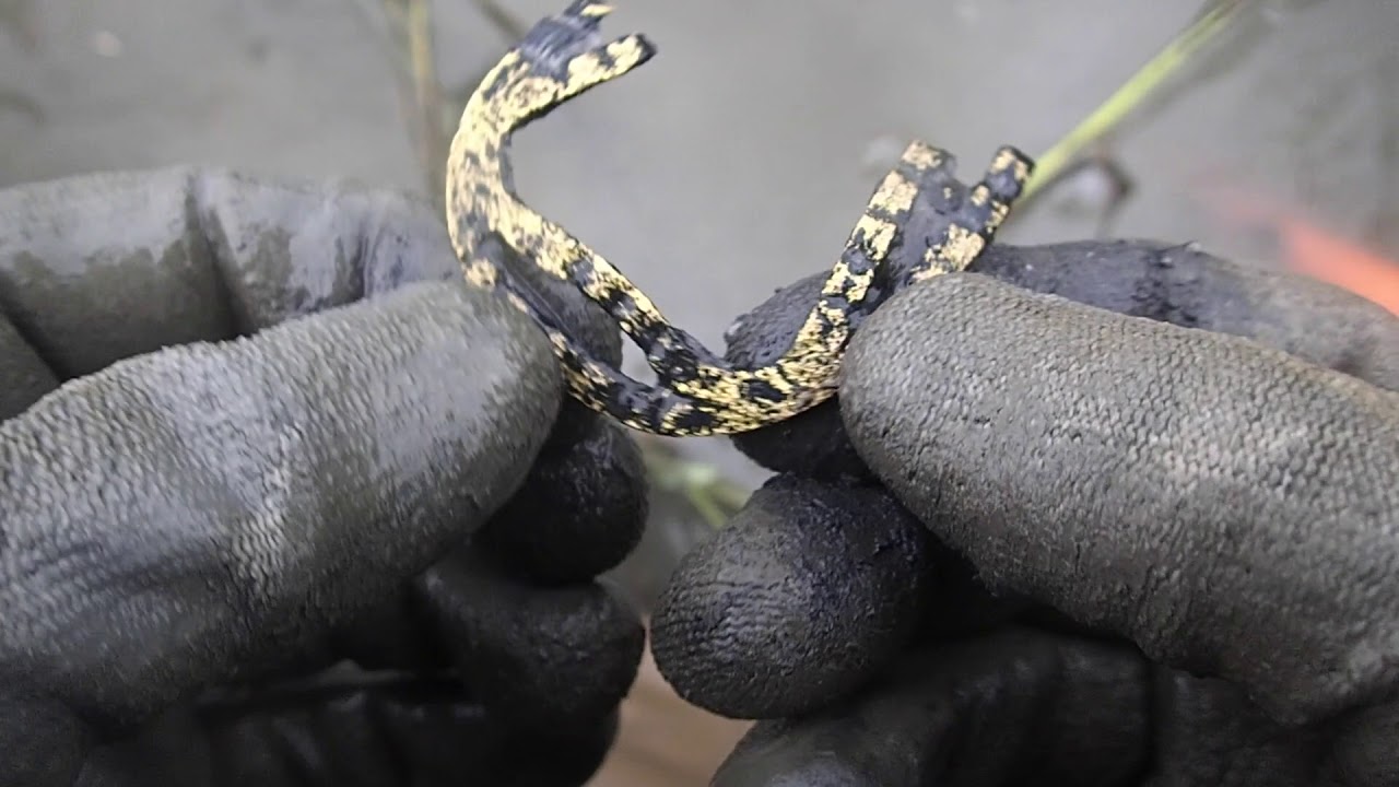 Relics in the Boat! - YouTube