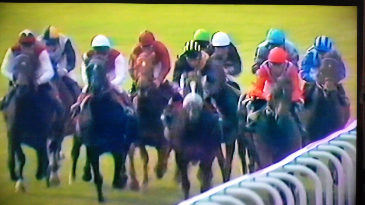 Terimon Earl Of Sefton stakes - YouTube