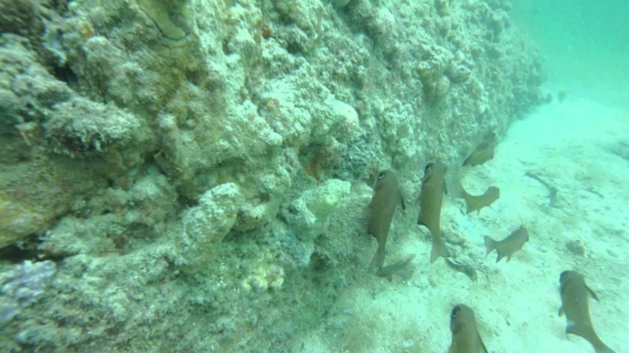 rockingham wreck trail - YouTube