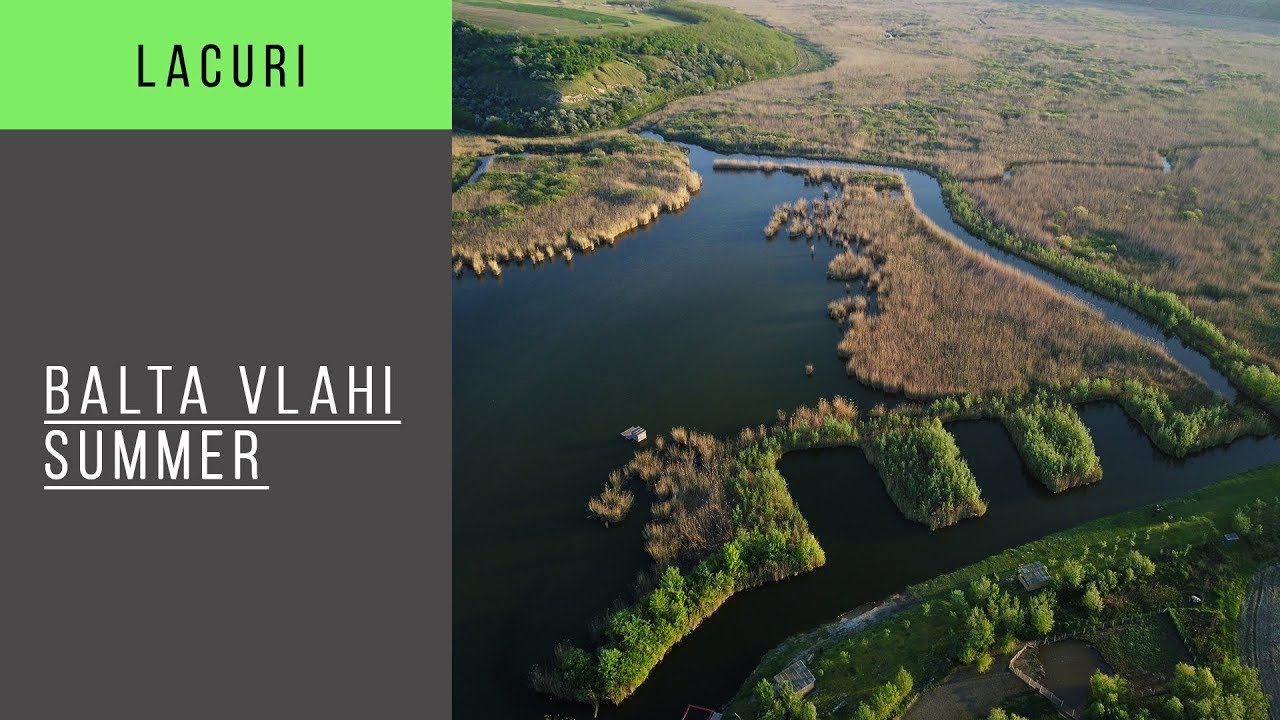 Vedere de vara Balta Vlahi - YouTube