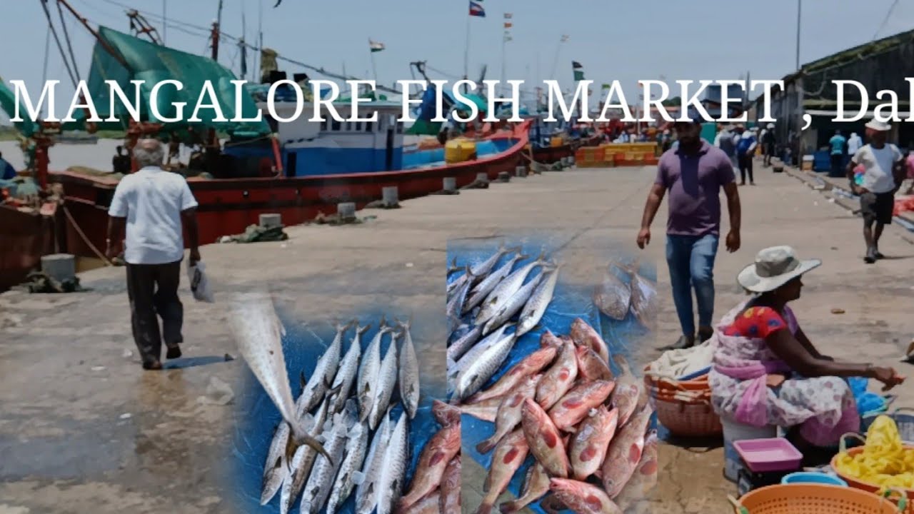 Mangalore Fish Market. Dakke🐠🐟 - YouTube