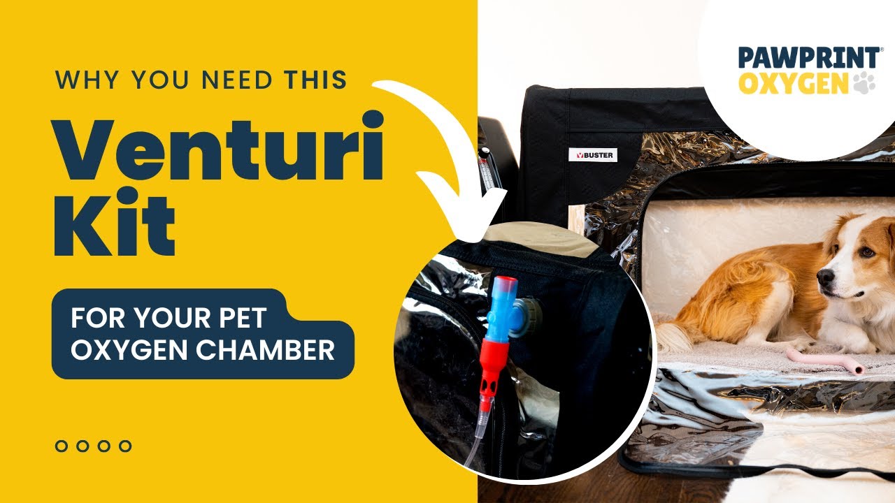 Setting up your Venturi Kit for your Pet Oxygen Cage - YouTube