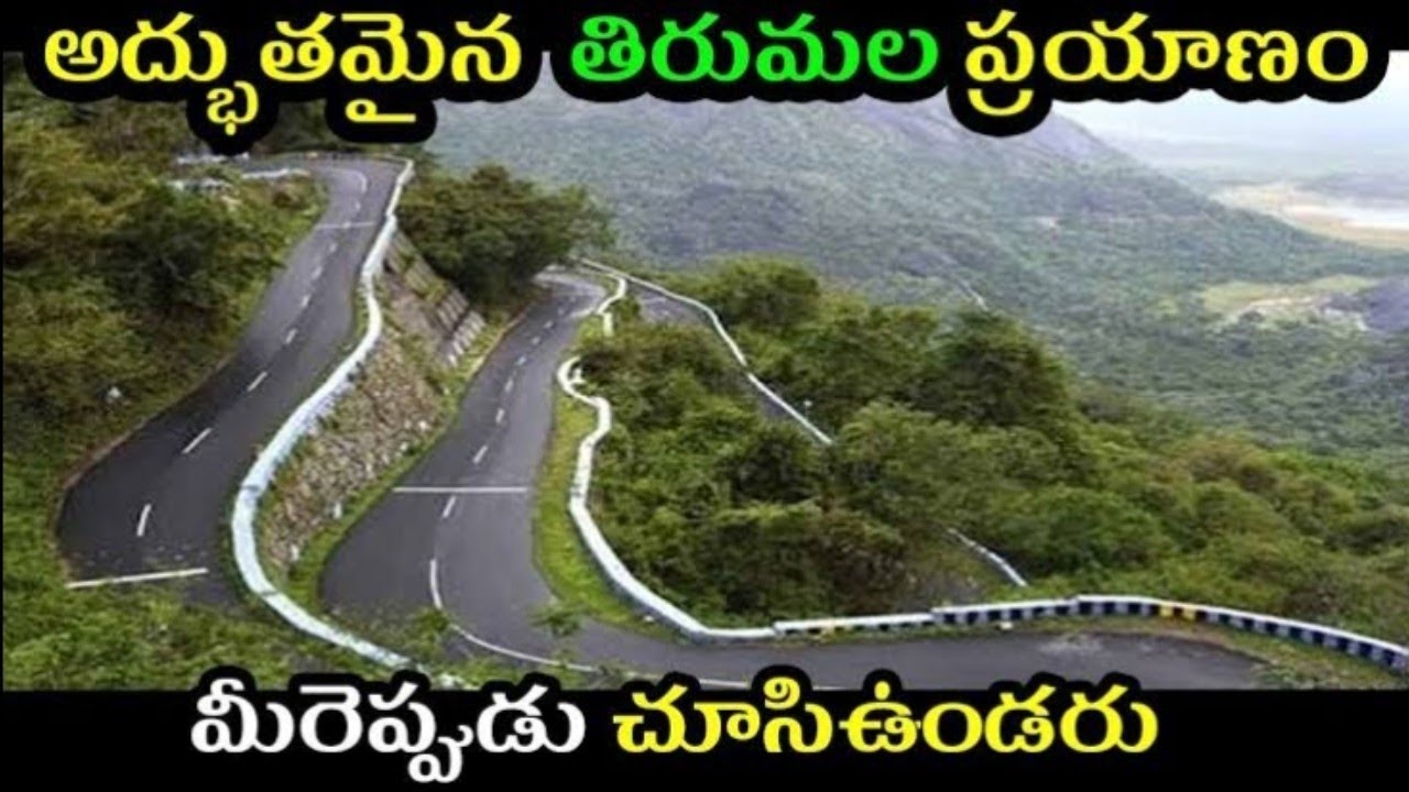 tirumala tirupati ghat road TTD #TTD #tirumala #thirupathi #ghatroad ...