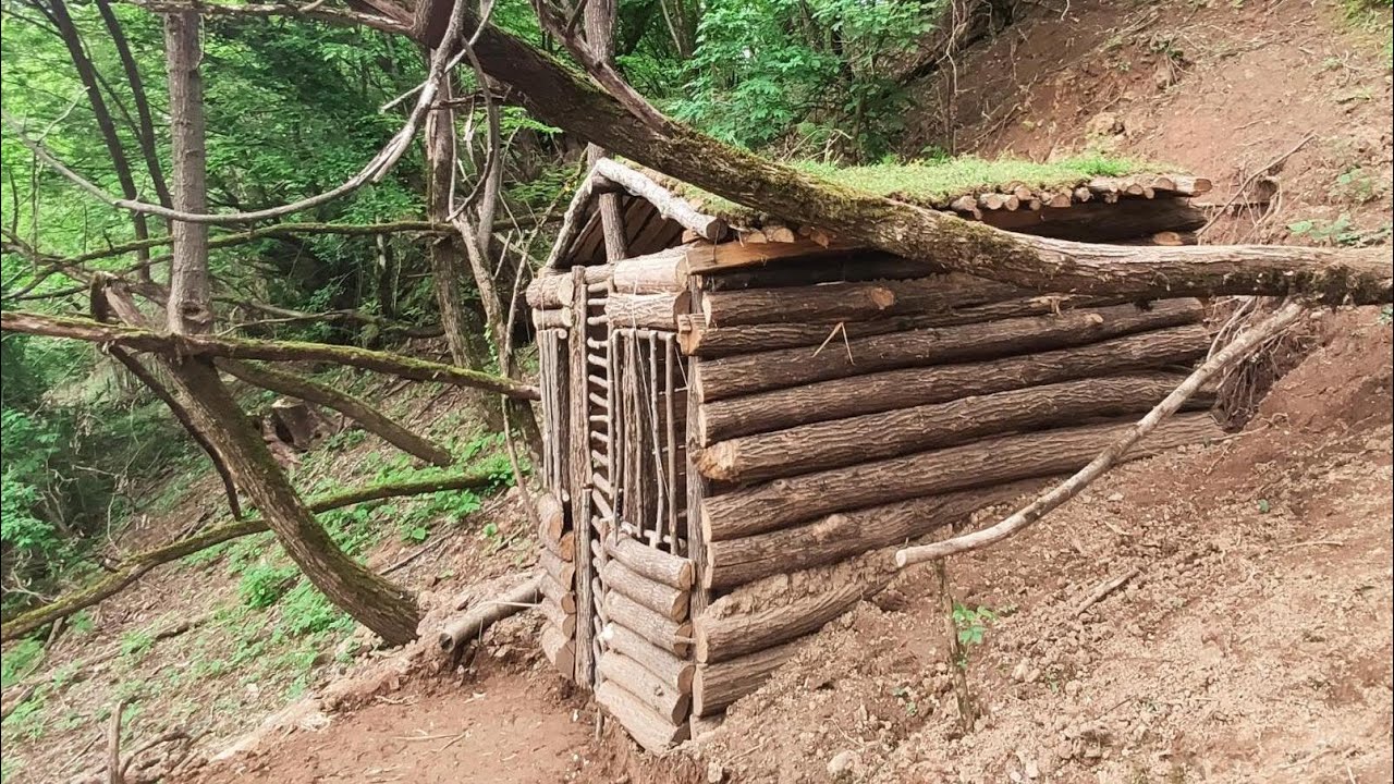Building a hut in the forest for the first time (part 5) - YouTube