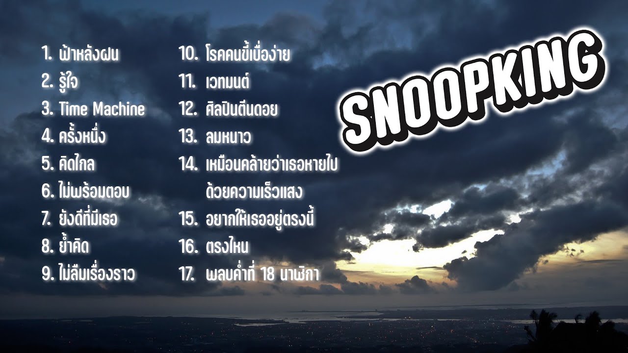 รวมเพลง SNOOPKING ฟังเพลินๆ ฟังยาวๆ - YouTube
