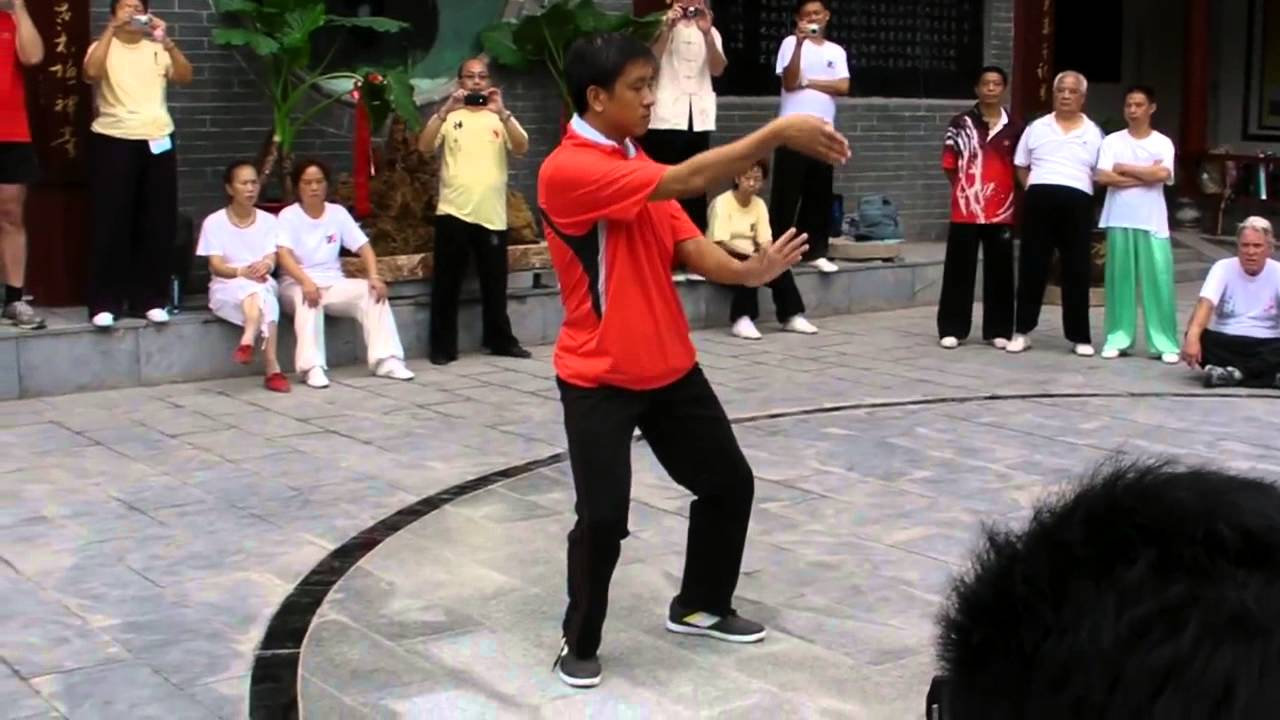 朱向前 陈式太极拳老架二路炮捶 Zhu Xiangqian Chen Shi Taijiquan Erlu "Pao Chui" first ...