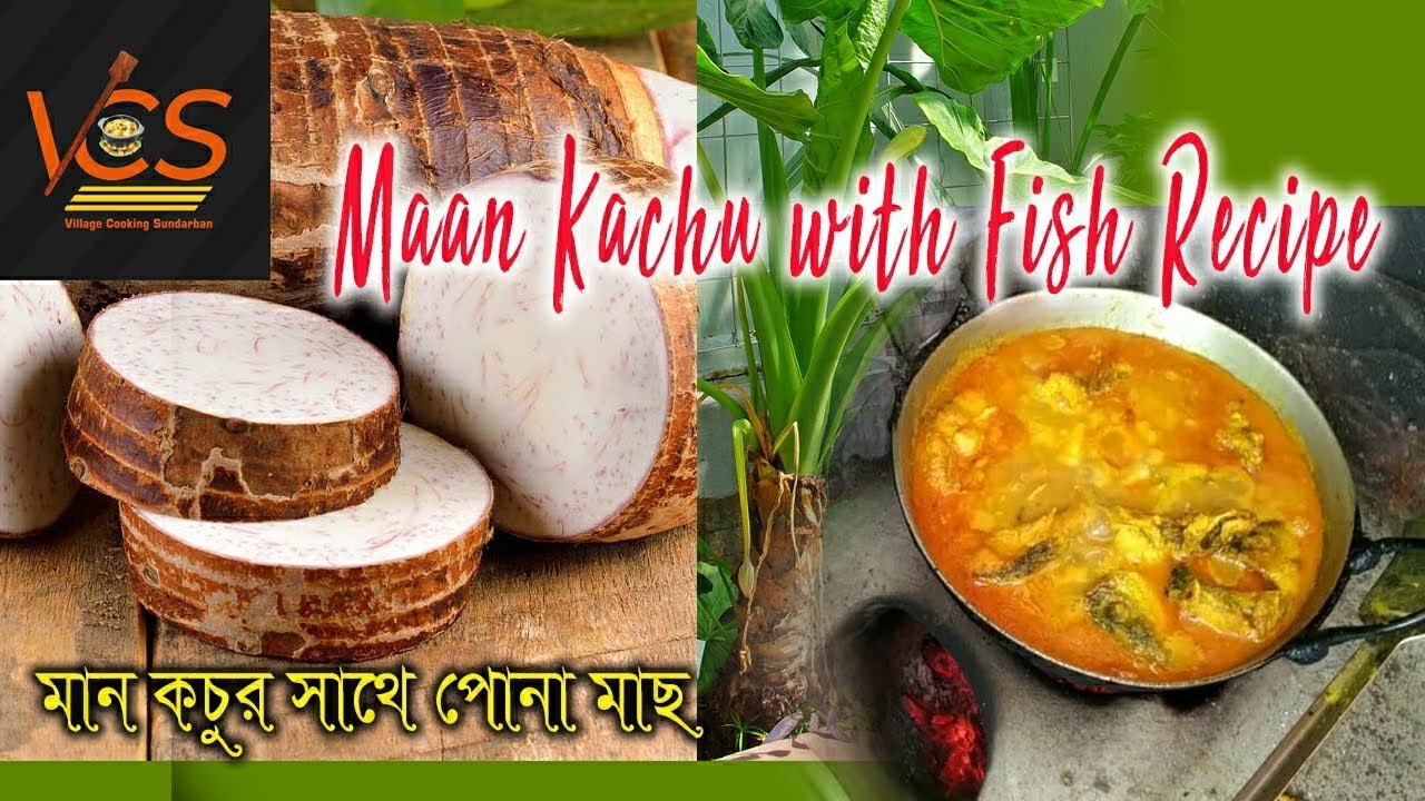 #maankachurecipe #man kachu deya macher jhol recipe ।। মান কচু দিয়ে ...