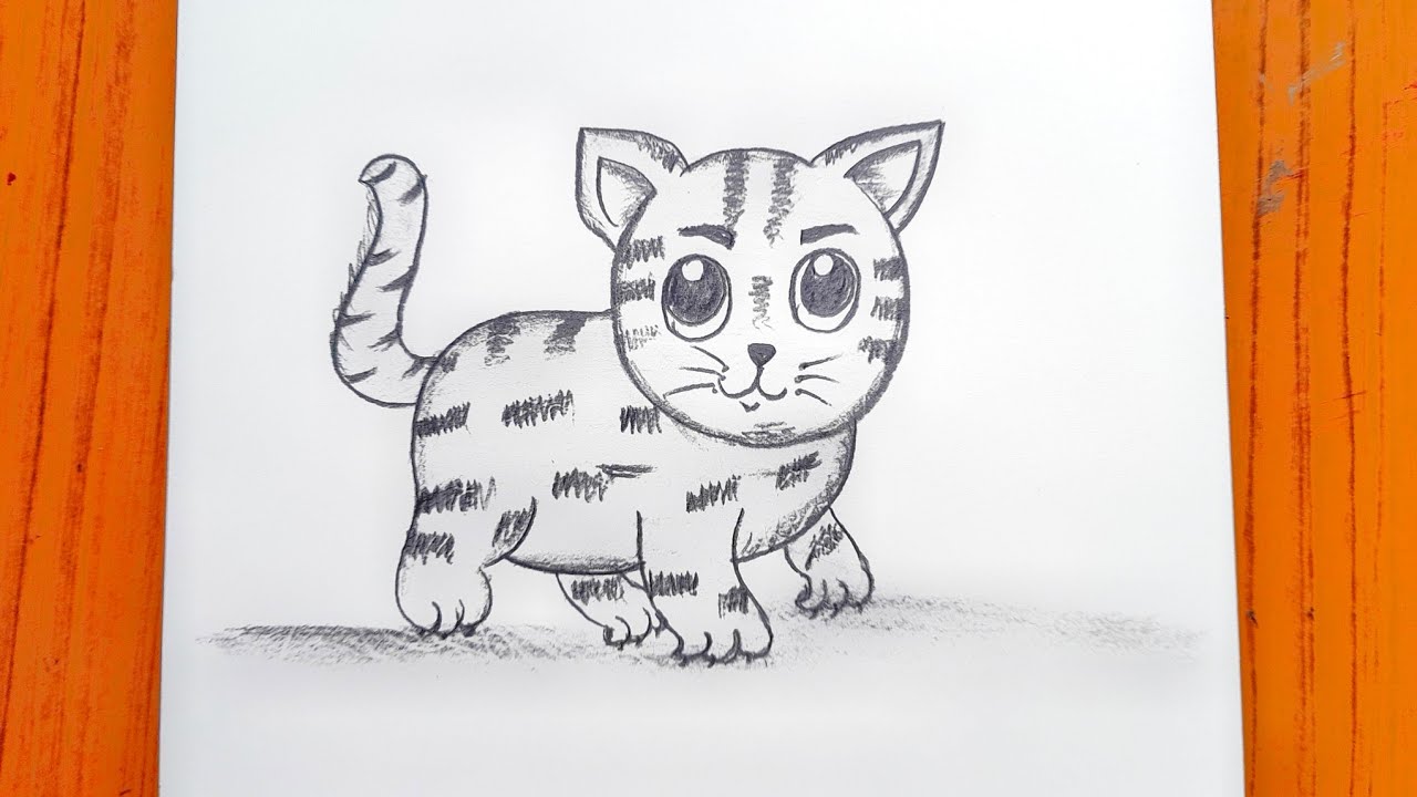 Cute Cat Drawing Simple 😺| Billi Ka Chitra Kaise Banaen | Cute Kitty ...