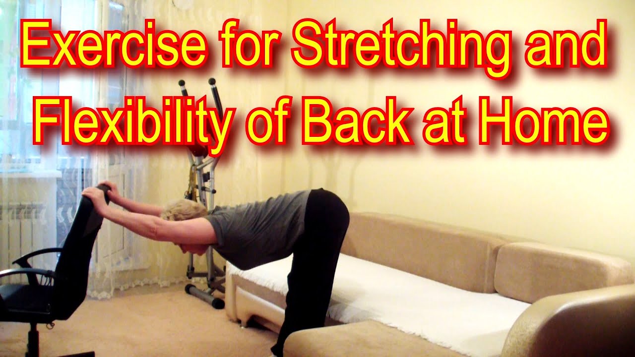 Exercise for Stretching and Flexibility of Back at Home - Beginner ...