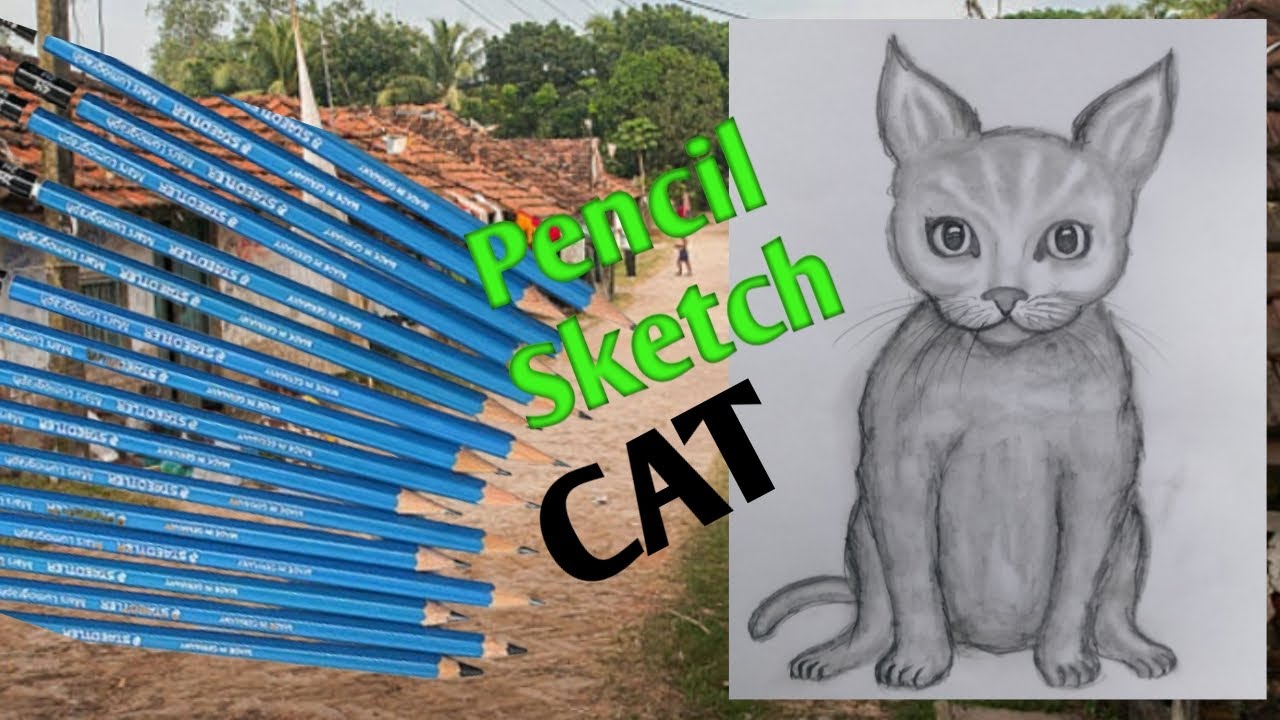 How To Draw Cat (BILLI) #pencildrawing #sketchdrawing #cat #art # ...