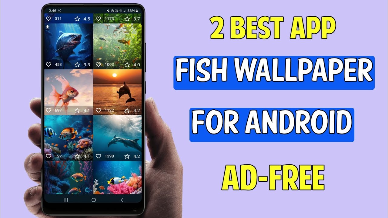2 Best Fish Wallpaper Apps For Android - YouTube
