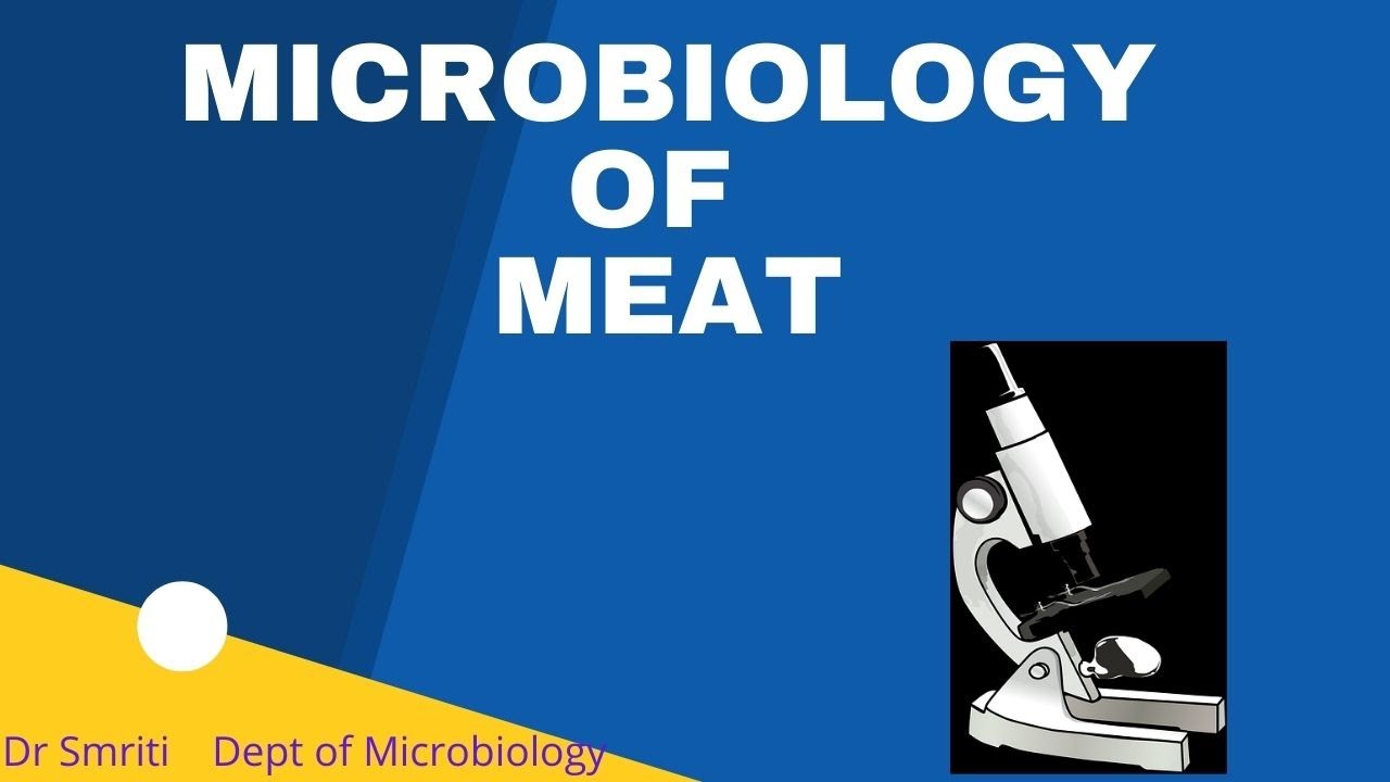 Microbiology of Meat | Food Microbiology | Dr. Smriti bajpai - YouTube