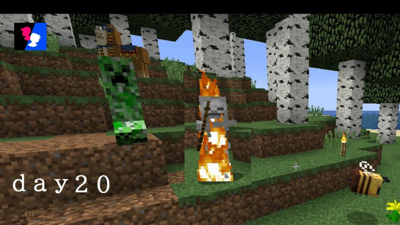 【Minecraft JavaEdition day20】 マイクラでBGM無しの無言サバイバル実況を始めてみました 20日目 - YouTube