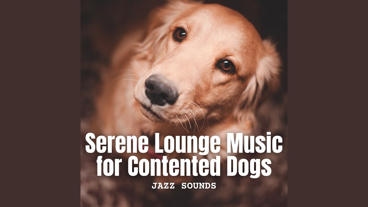 Paws and Jazz Musicals - YouTube