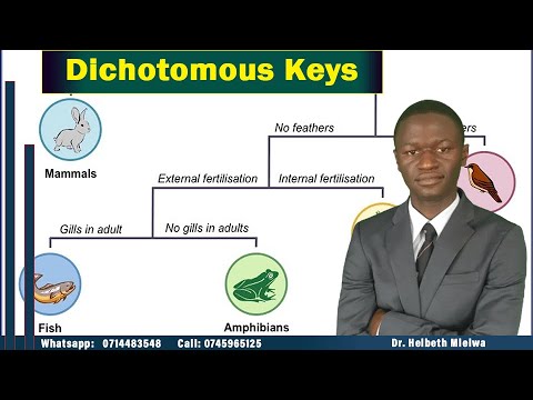 TYPES OF DICHOTOMOUS KEYS, Advanced biology, Principle of ...