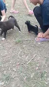 # маленький @# моторчик@# - YouTube