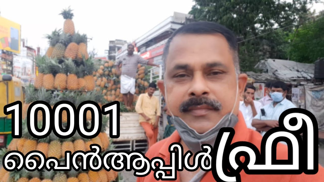 Vazhakulam pineapple | Pineapple city | Low price | Loss |Farmer ...
