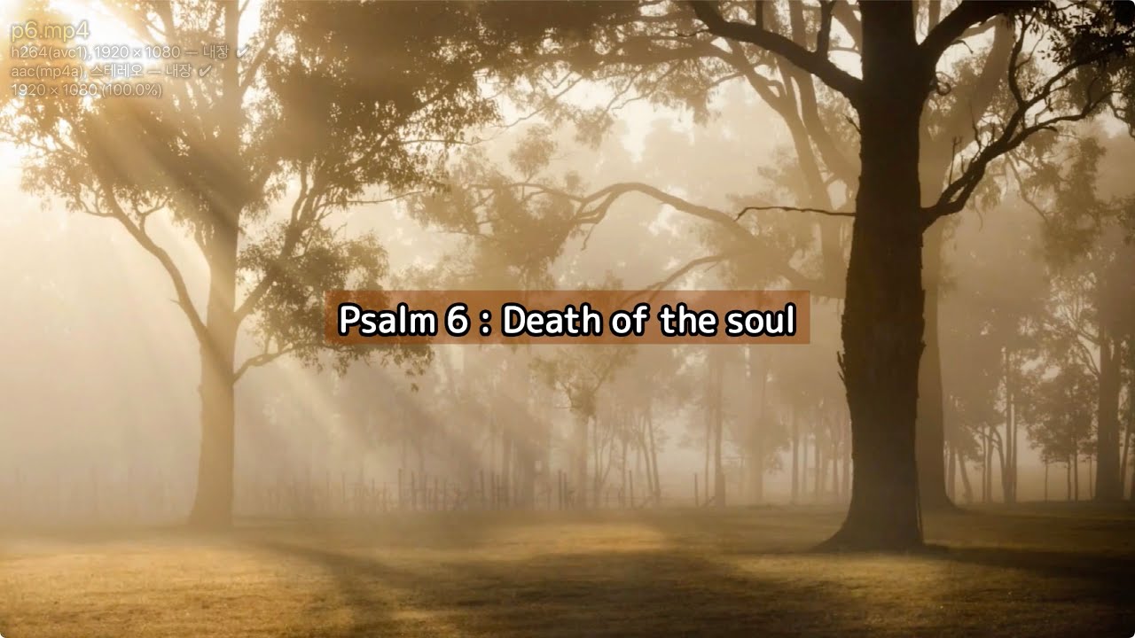 psalm 6 : Death of the soul - YouTube